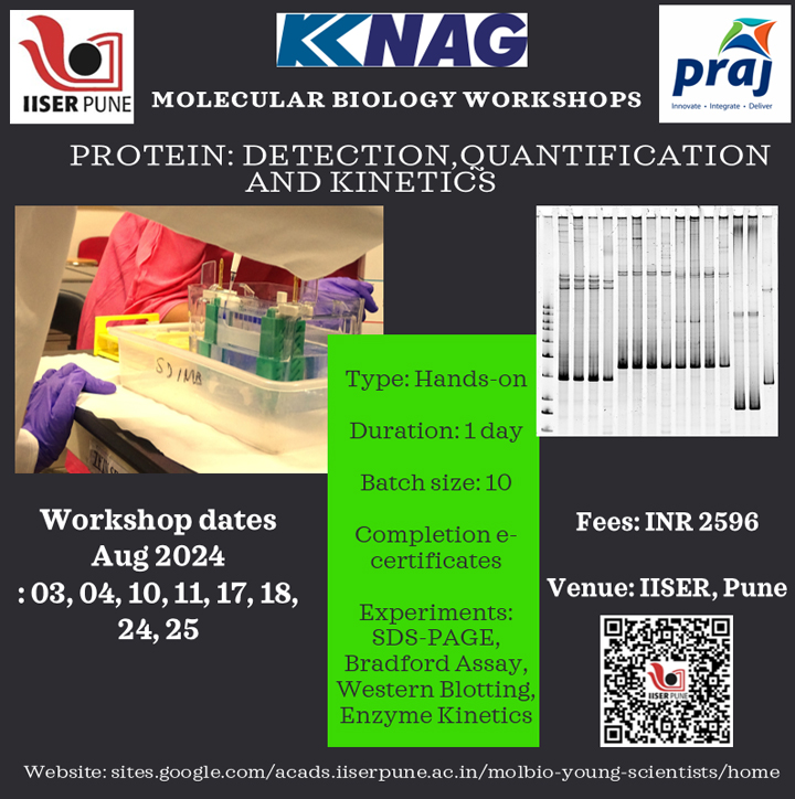 Molecular Biology Workshops on 'Protein: Detection, Quantification and ...